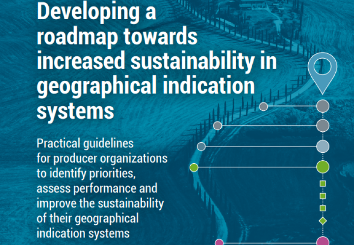 FAO teams up with oriGin in the release of a guide/toolkit for increasing sustainability in GIS ...